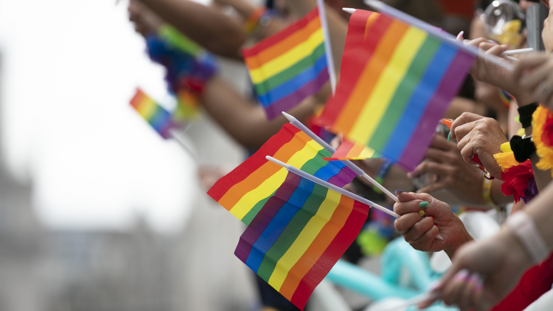 Equal Rights Coalition | About - Equal Rights Coalition